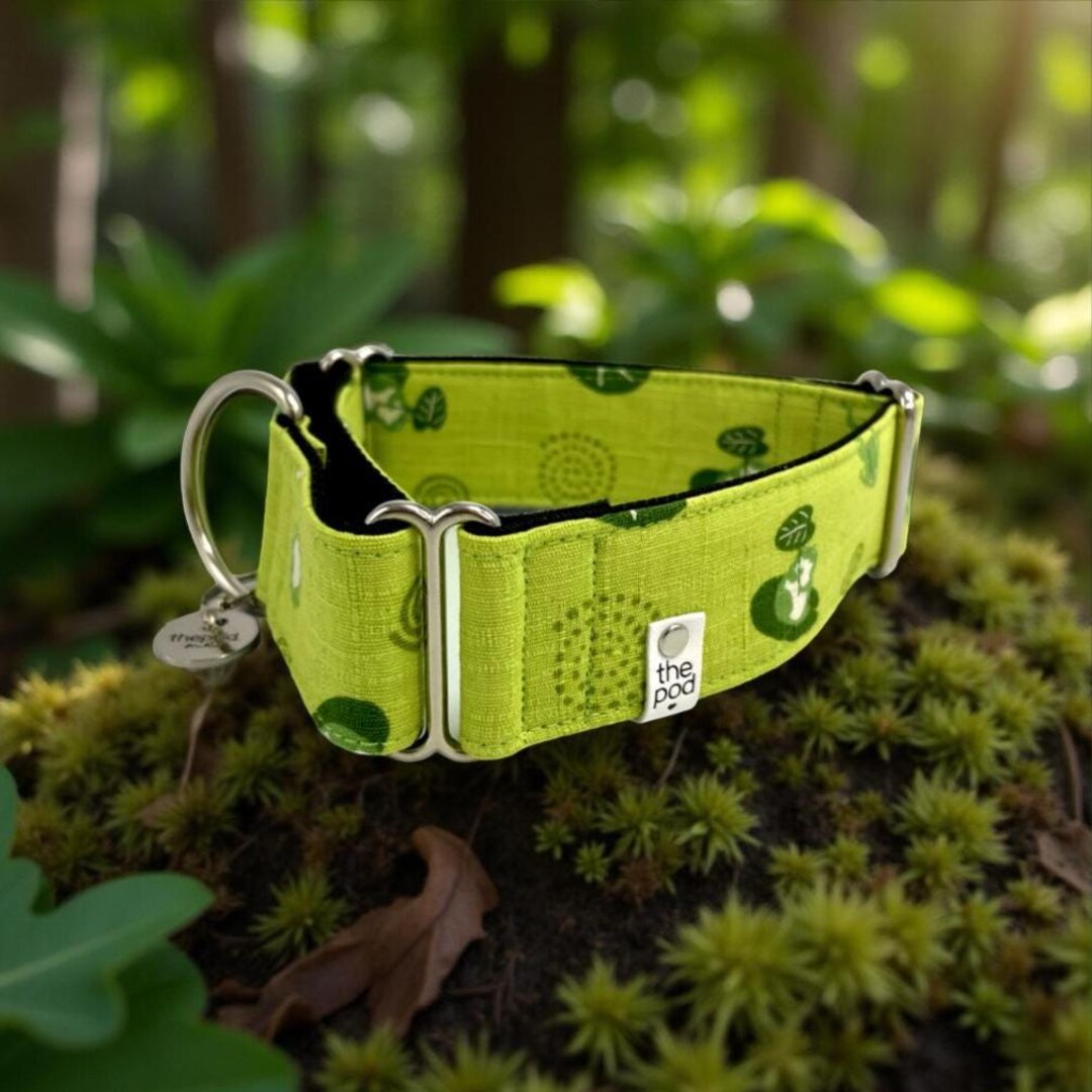 Frog and Lily | Martingale Collar Greyhound - Whippet - Italian ...