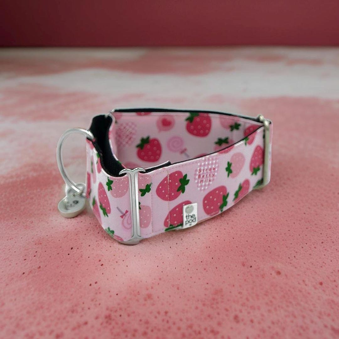 Strawberry Milk Pink / Greyhound - Whippet - Italian Greyhound ...