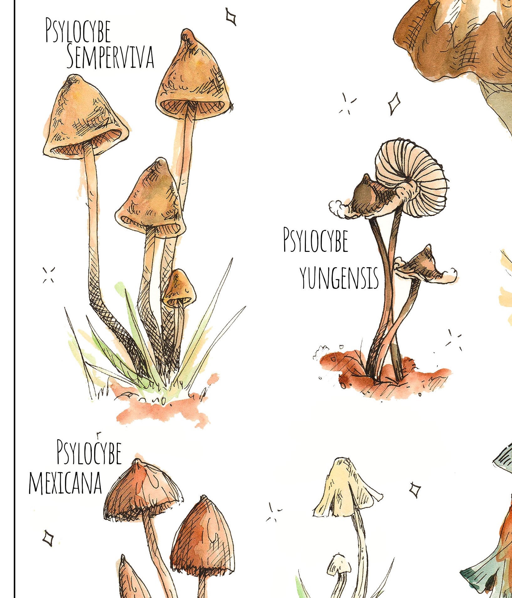 Magic Mushroom Print Psychedelic Mushroom Print Psilocybin | Etsy