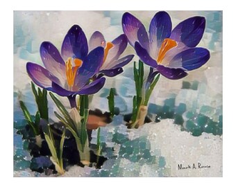 Crocus Picture Spring Flowers Watercolor Print Purple Crocuses ...