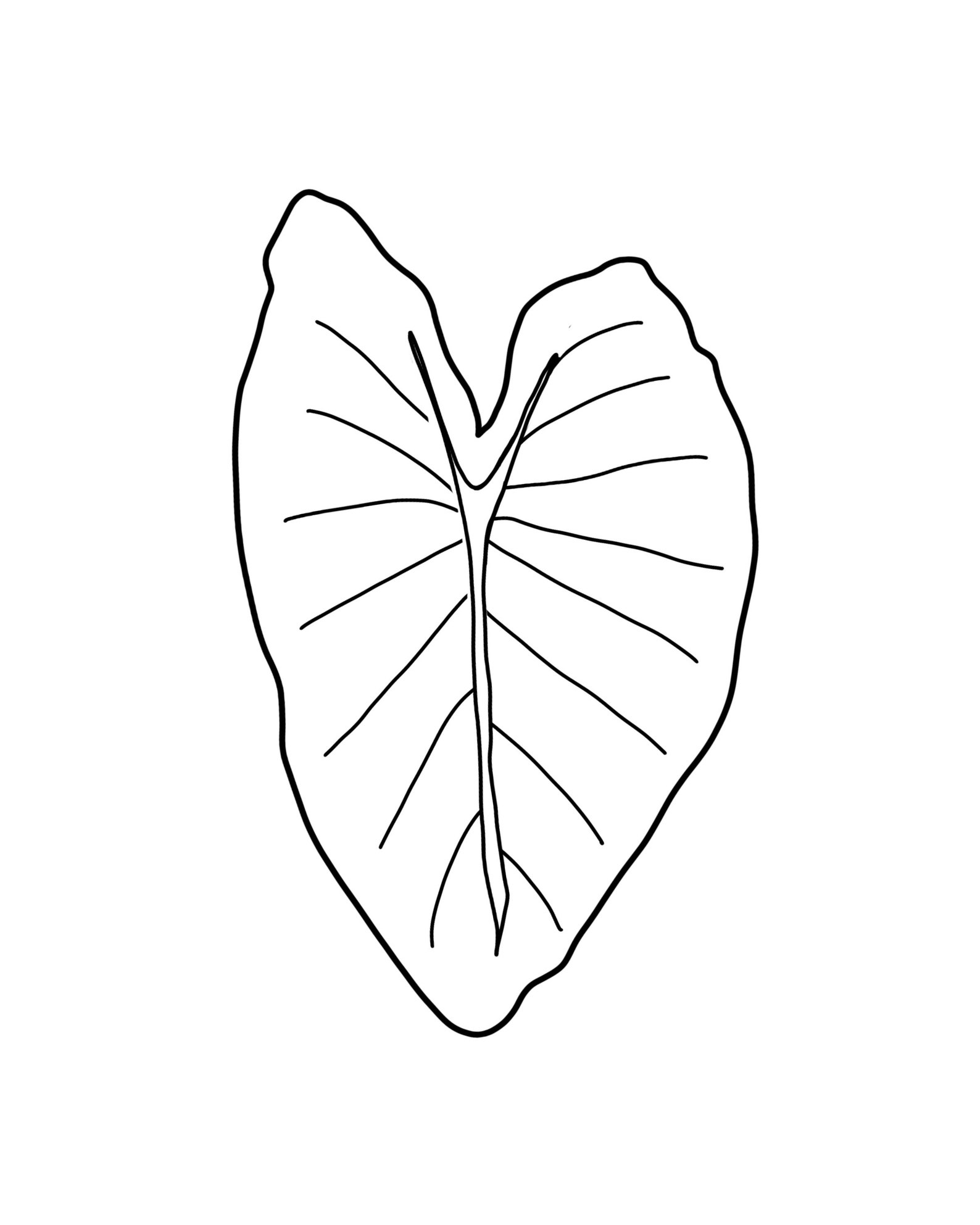 Kalo Print // Black and White Print // Hawaiian Wall Art // | Etsy