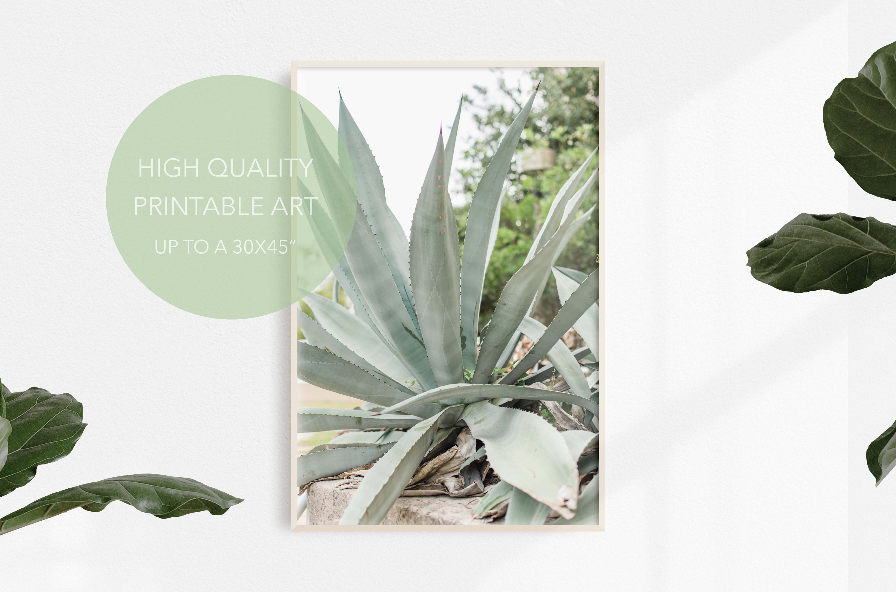 Agave Print, Agave Poster, Digital Download, Printable Art, Printable ...