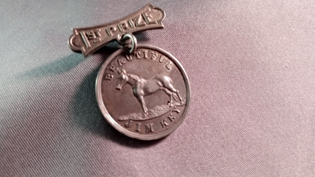 Beautiful Jim Key 1st Prize Medal From the Penna Womans SPCA - Etsy