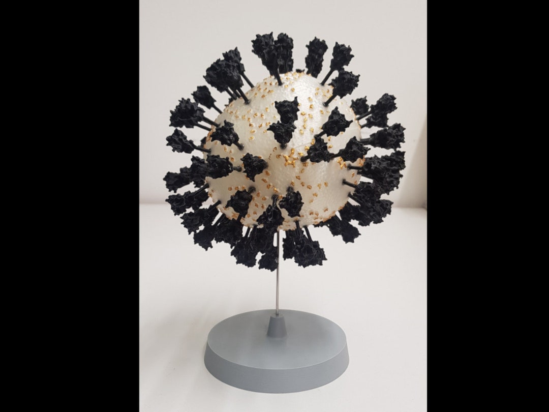 Realistic Virus Cell Demonstrative Figure Models (toy/gift) - Etsy