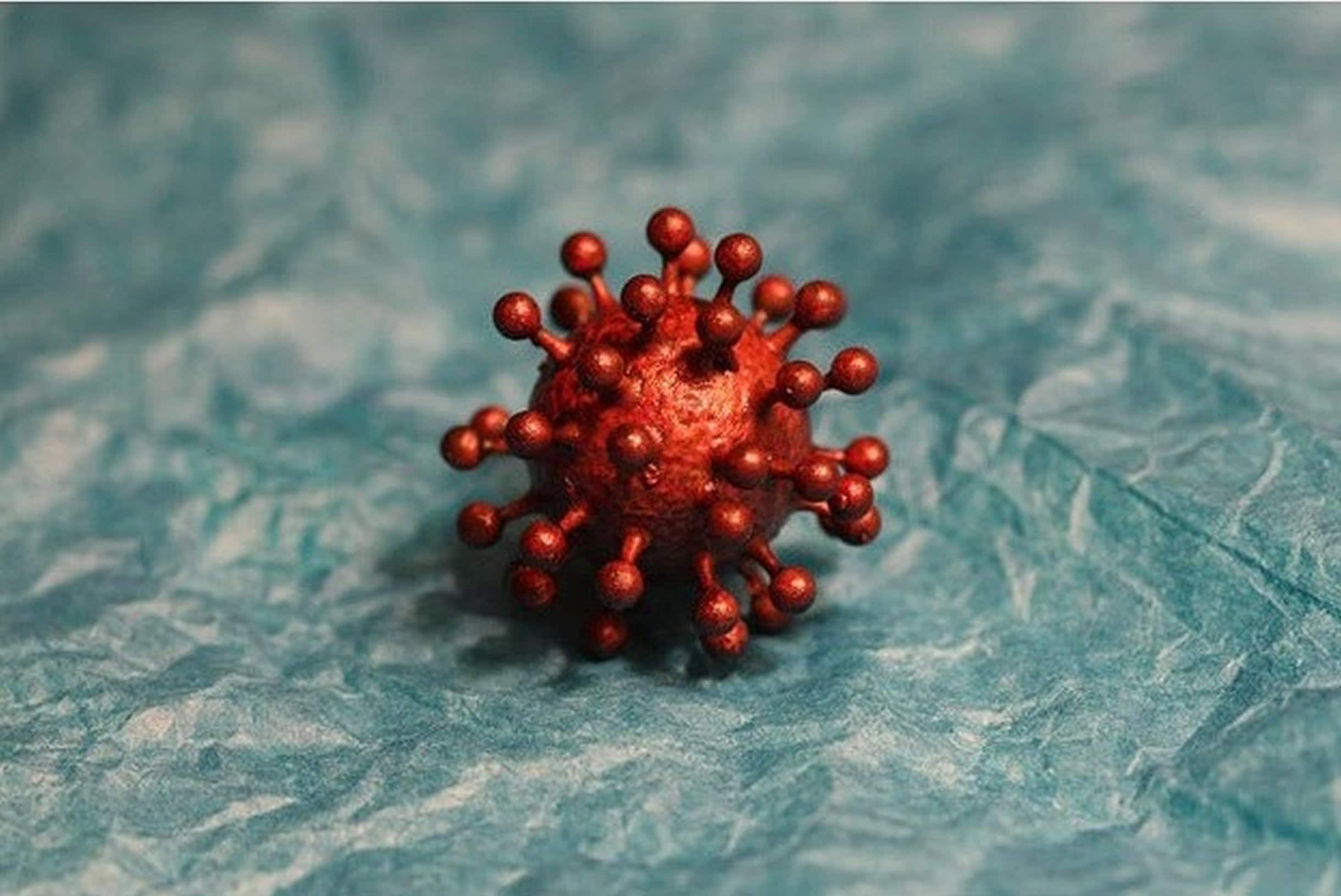 Virus Cell Demonstrative Figure Models (toy/gift) - Etsy