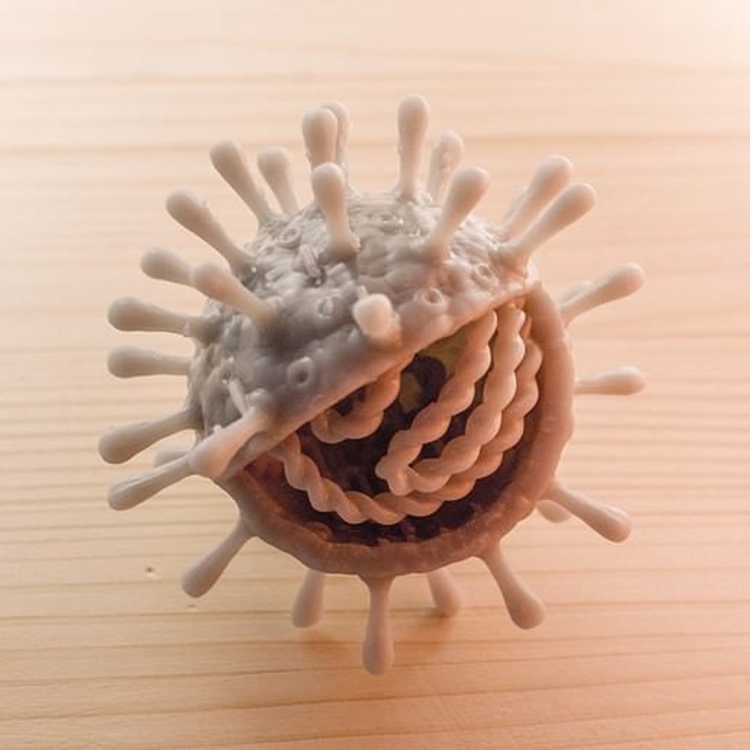 Virus Cell Demonstrative Figure Models (toy/gift) - Etsy