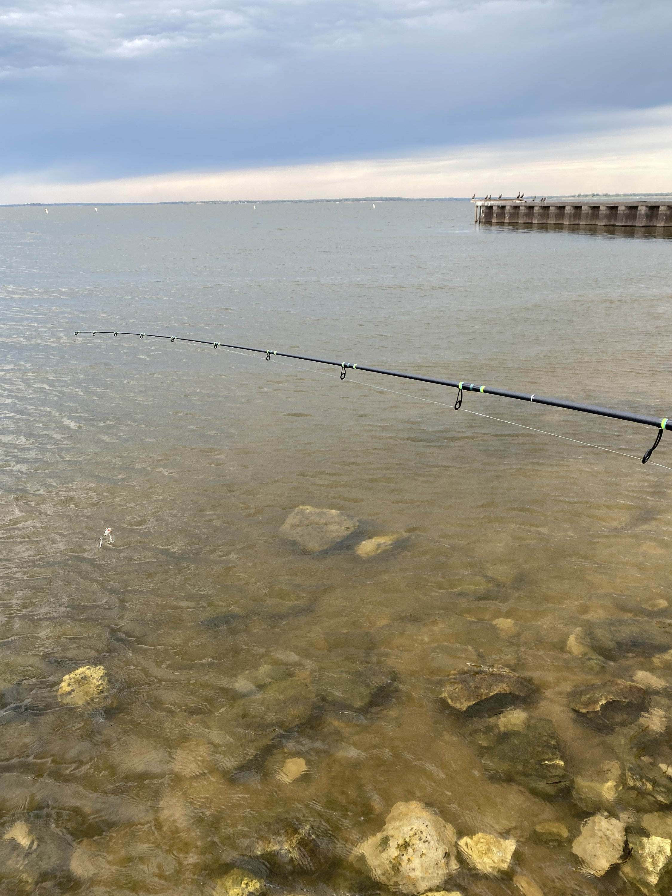 Personalized Fishing Rod Sporty Spring Colors Personalized - Etsy UK