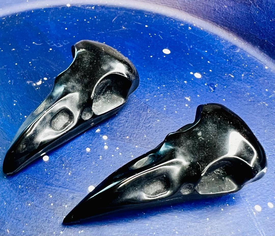 Black Obsidian Raven Skull: Witchy Altar Decor, Protection - Etsy