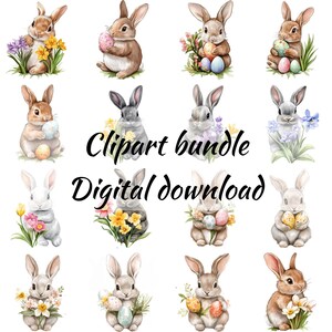 Adorable Spring Easter Bunny Clipart Set - Instant Download for ...