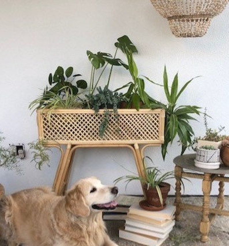 Urban Rattan Window Planter - Etsy