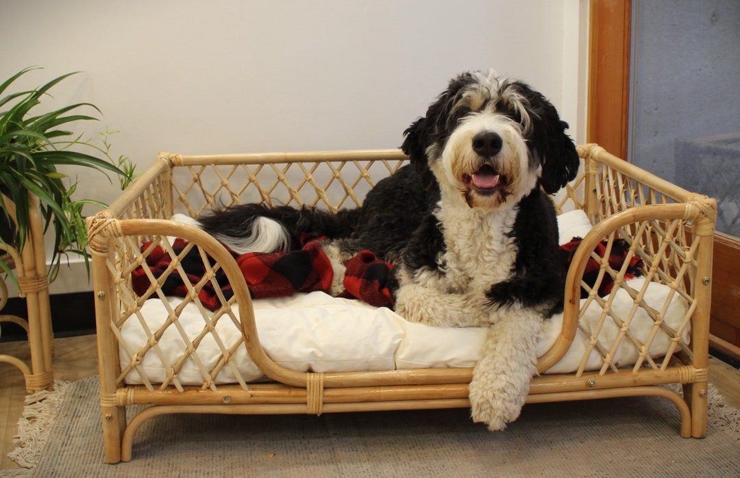 Rattan Knockdown Pet Bed - Etsy