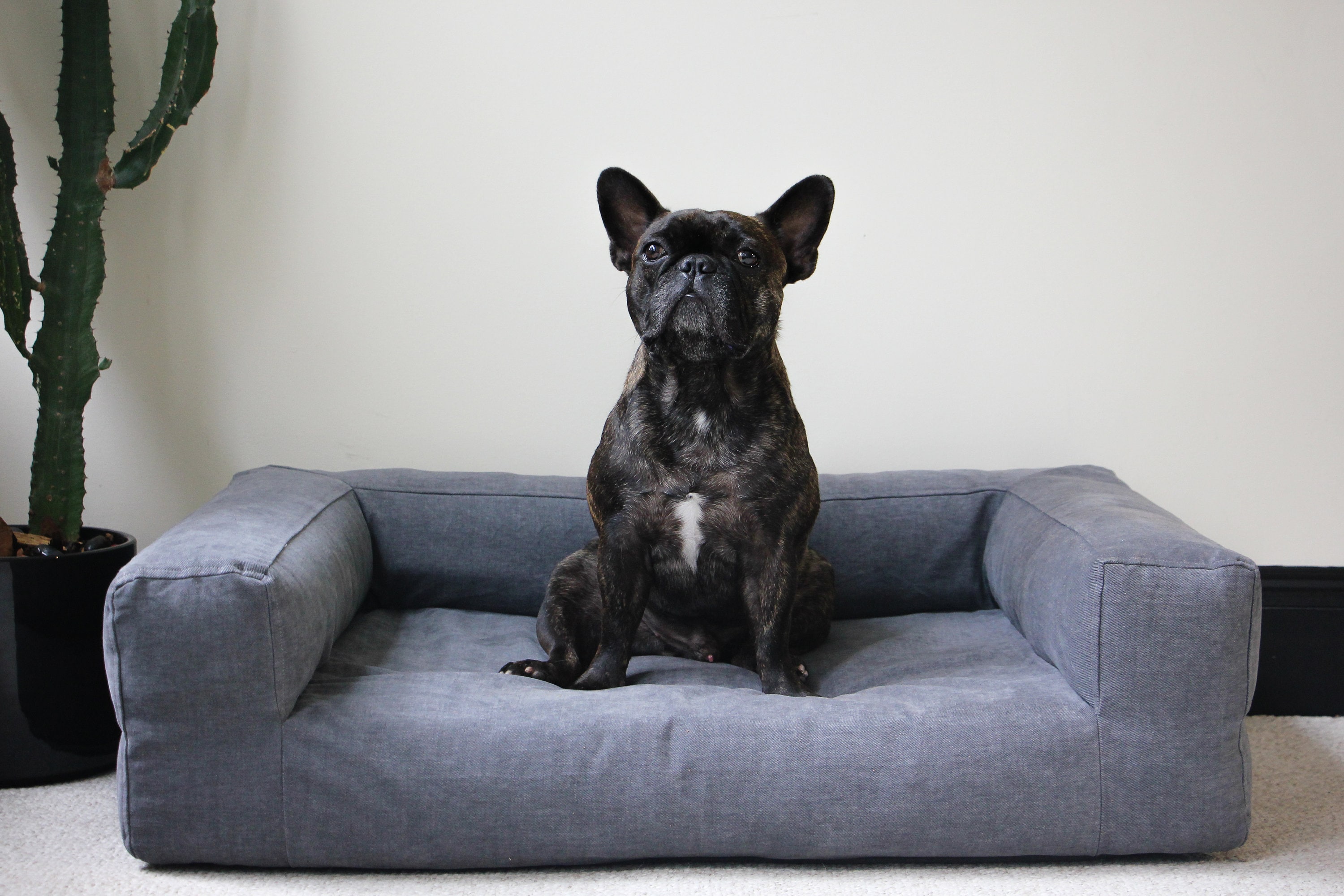 Custom Dog Couch Dog Sofa Pet Sofa Dog Bed Switchable - Etsy