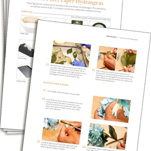 Hydrangea - Project Guide Template for Making Coffee Filter Flowers - Etsy