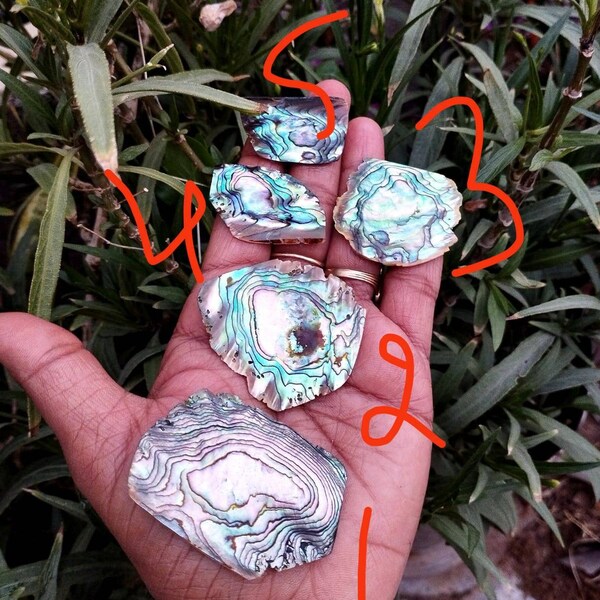 Abalone Jewelry - Etsy