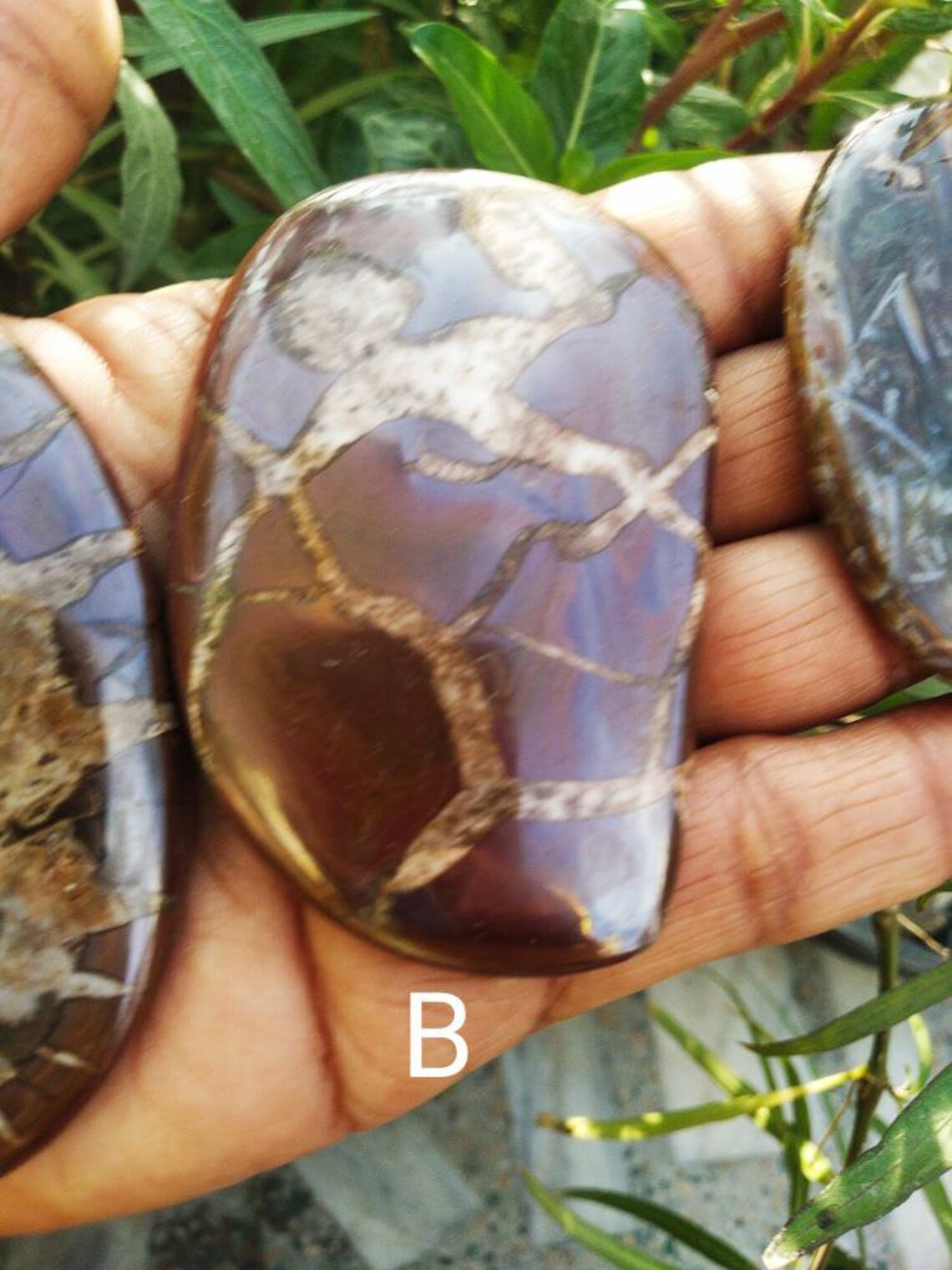 EXTRA LARGE CABOCHON Septarain stone sticks agate stunning | Etsy