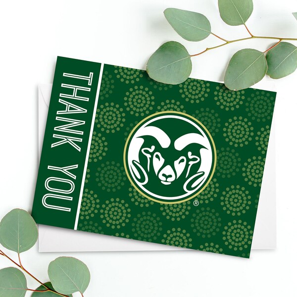 Colorado State University - Etsy