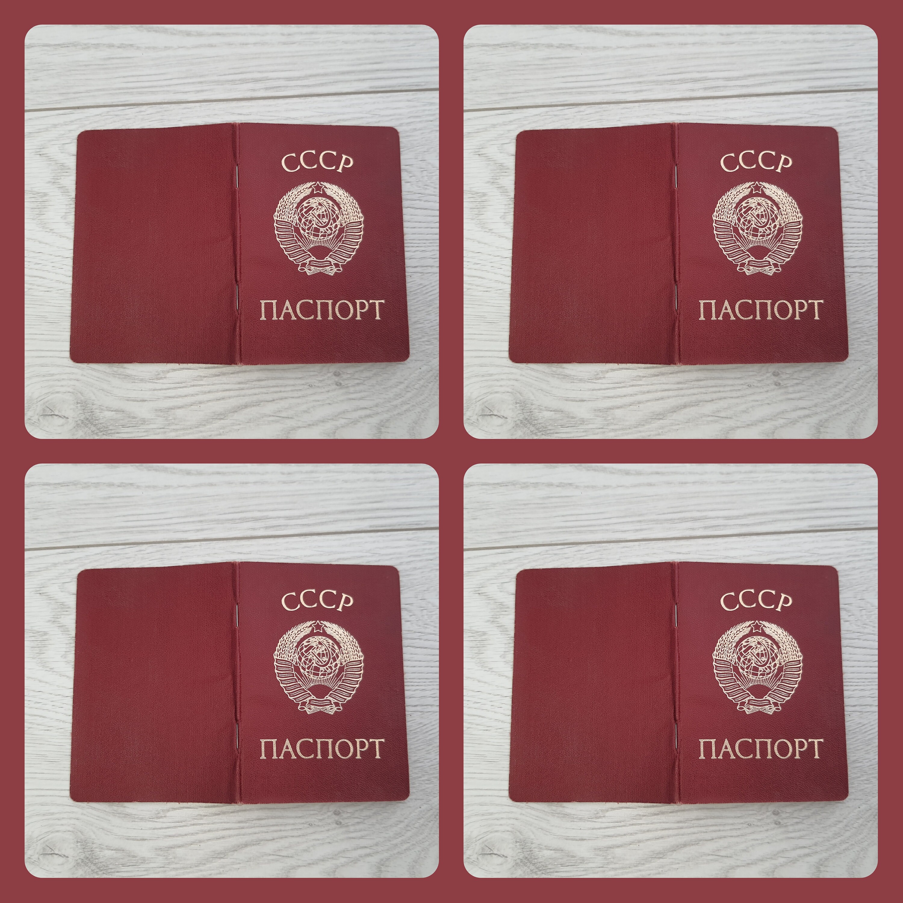 USSR Passport Union of Soviet Socialist Republics Document - Etsy