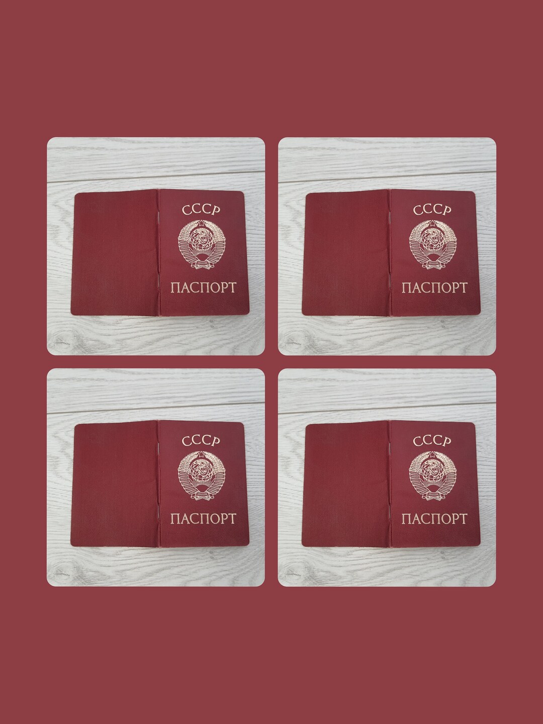 Original USSR Passport Union of Soviet Socialist Republics Document ...