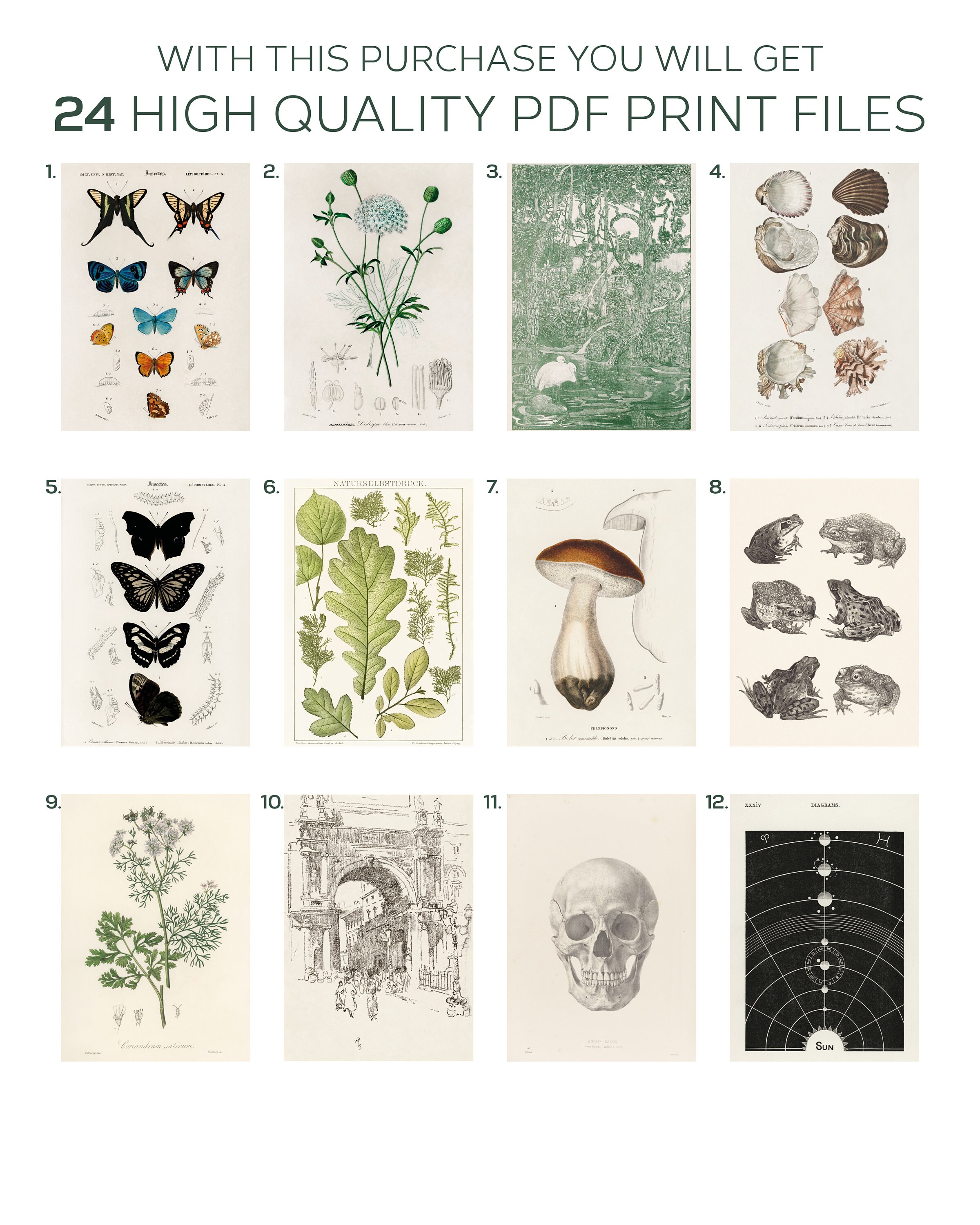 Vintage Cottagecore Prints Set of 24 Cottagecore and Natural - Etsy