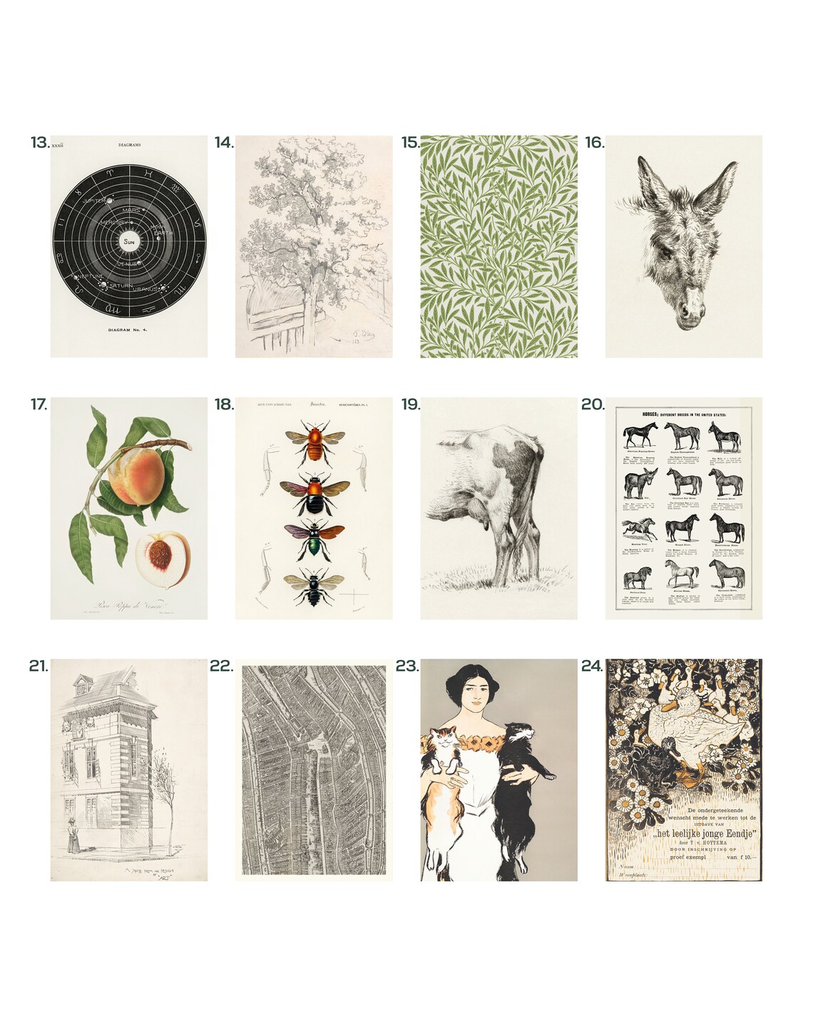 Vintage Cottagecore Prints Set of 24 Cottagecore and Natural - Etsy