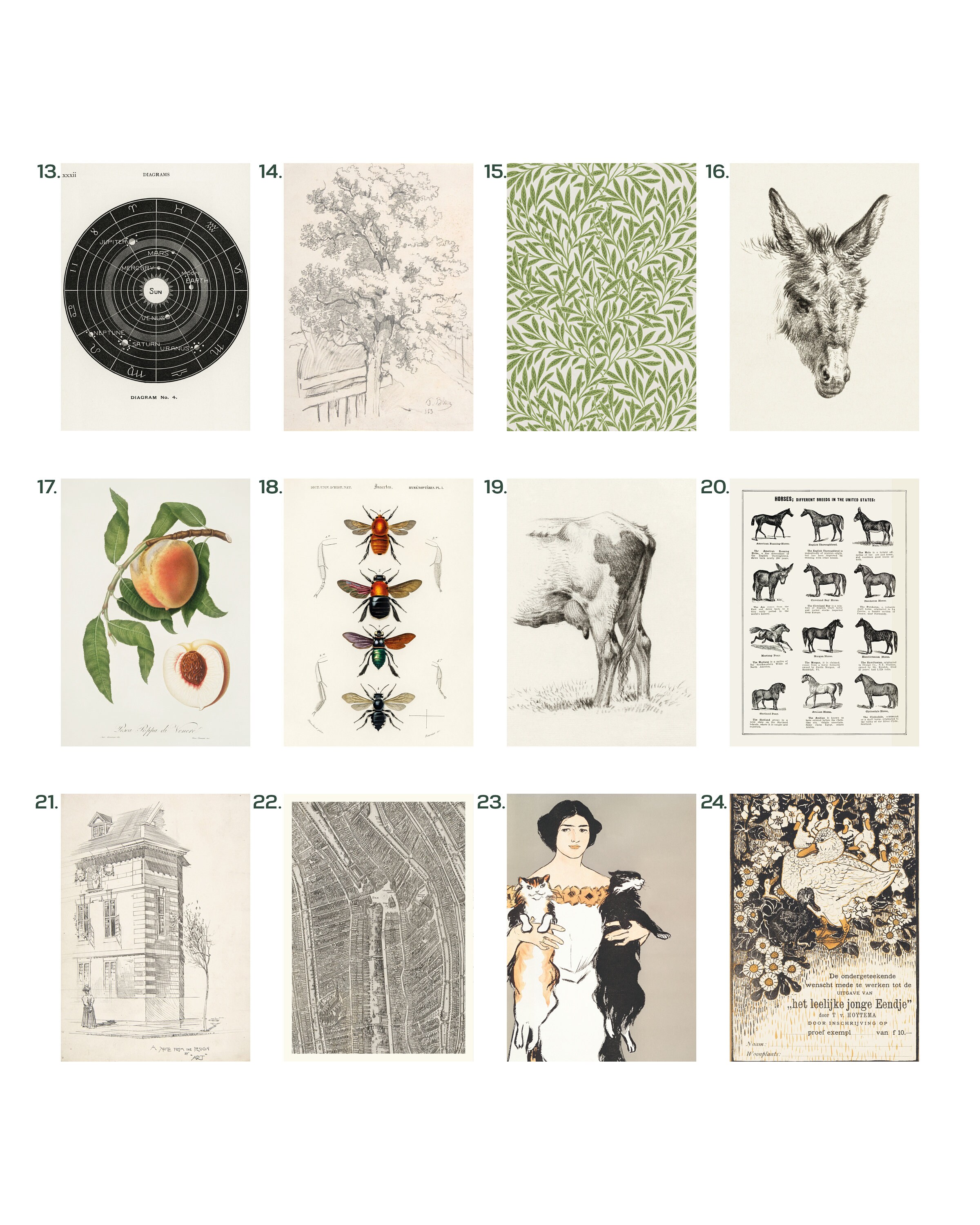 Vintage Cottagecore Prints Set of 24 Cottagecore and Natural - Etsy