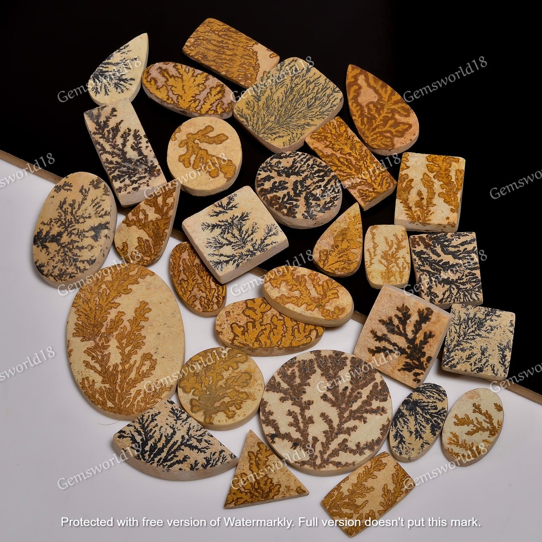 Natural Psilomelane Dendrite Leaf Jasper, Dendritic Limestone, German ...