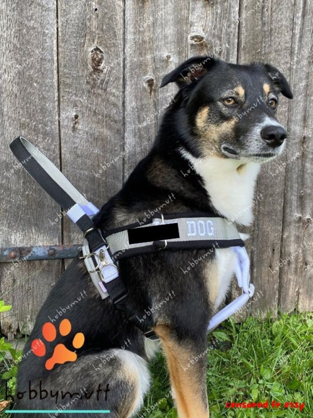 Y-front Harness, Y-front, Custom Y-front Harness, Working Dog Gear, Dog ...