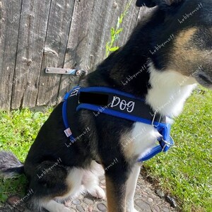 Y-front Harness, Y-front, Custom Y-front Harness, Working Dog Gear, Dog ...