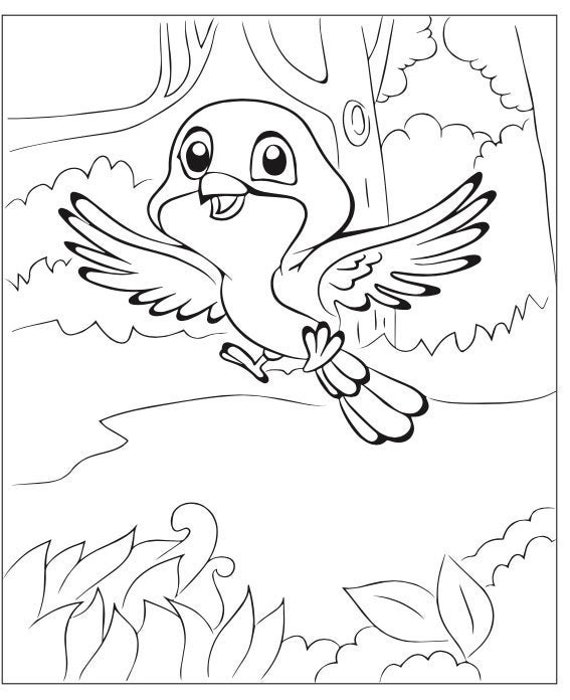 Coloring Book Pages Birds Coloring Book | Etsy
