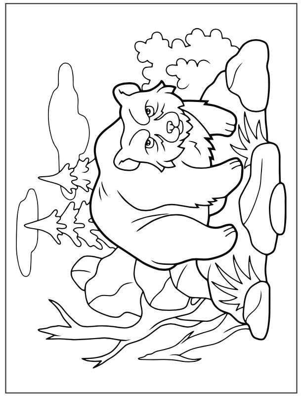 Coloring Book Pages| Bear Coloring Book - Etsy