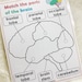 Brain Anatomy Matching Activity Printable, Parts of the Human Brain ...