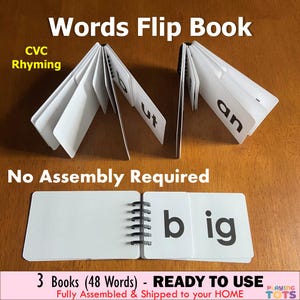 Words Flip Book, CVC Rhyming Words, Word Family Reading Practice ...