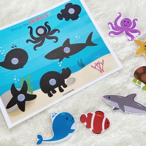 Animals Shadow Matching Activity Printable, Bugs Silhouette Toddler ...