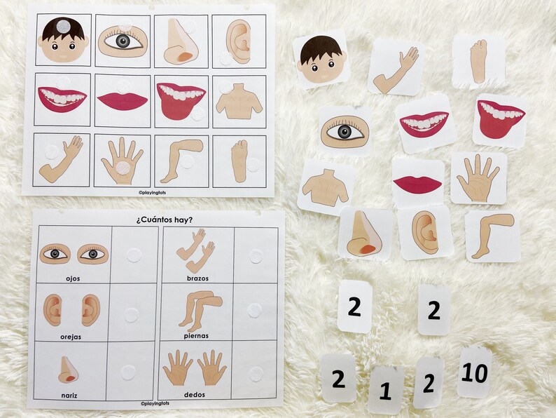 Body Parts Printable in Spanish Toddler Busy Books Activity - Etsy