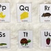 Spanish Alphabet Flash Cards Printable, Alphabet Picture Flashcards ...