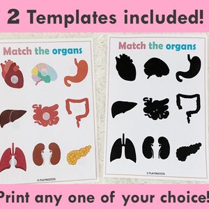 Body Organs Matching Activity Printable for Kids Human - Etsy