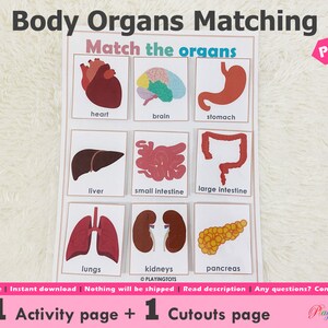 Body Organs Matching Activity Printable for Kids Human - Etsy