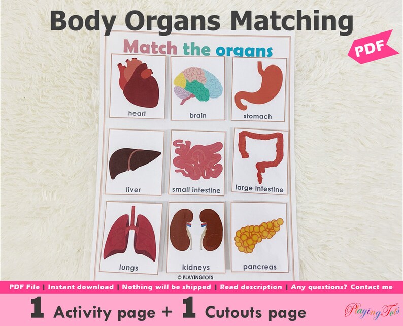 Body Organs Matching Activity Printable for Kids Human | Etsy