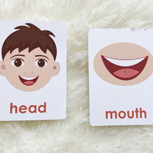 Body Parts Flashcards Printable, Montessori 3 Part Cards, Toddler ...