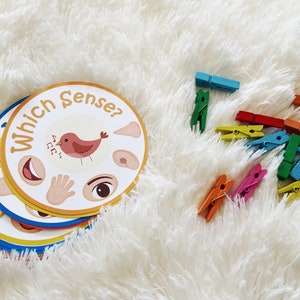 Five Senses Match and Clip Activity Printable, 5 Senses Matching ...