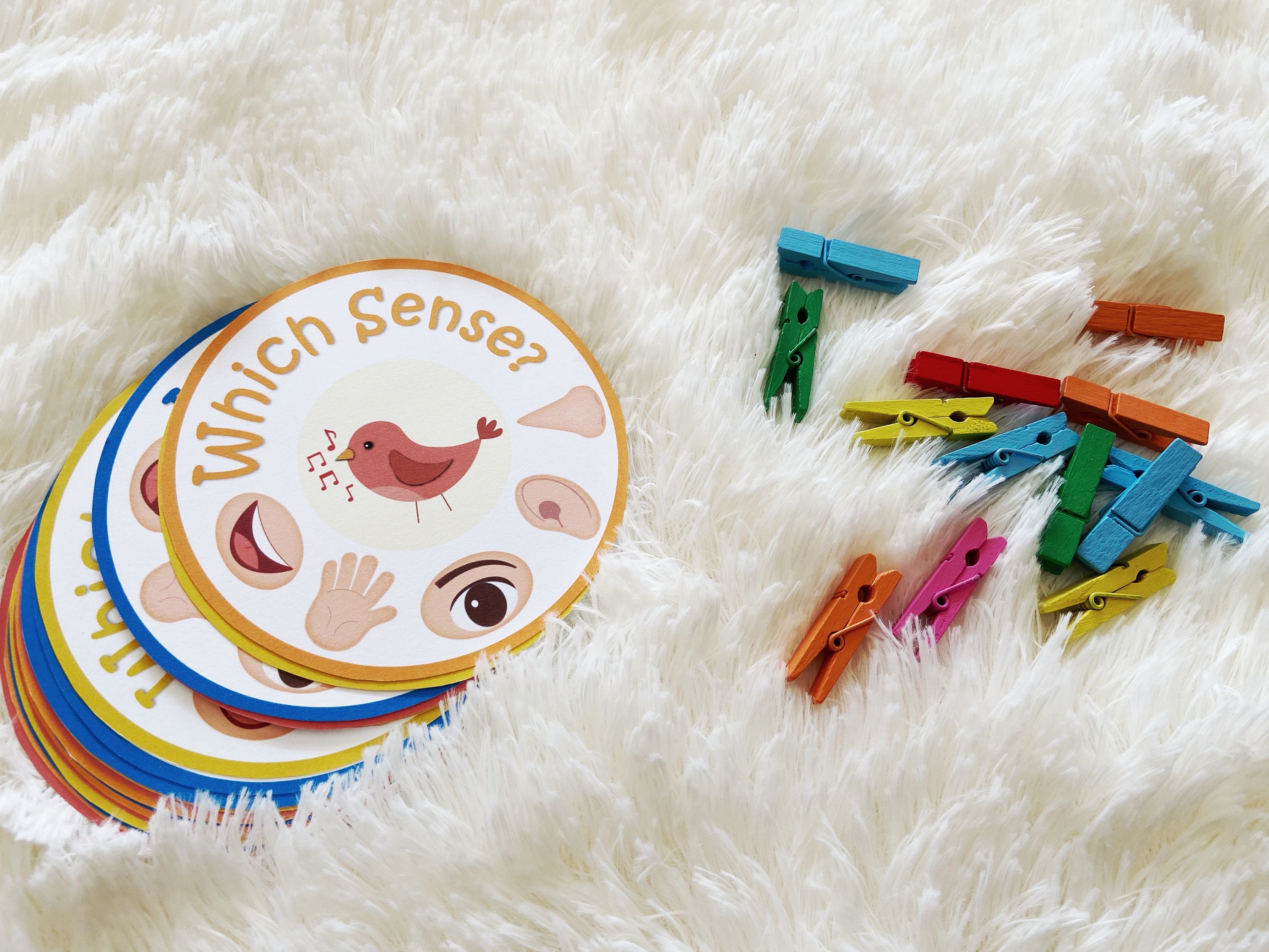 Five Senses Match and Clip Activity Printable, 5 Senses Matching ...