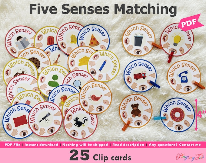 Five Senses Sorting Activity -5 Senses Sorting, Busy Book , Toddler ...