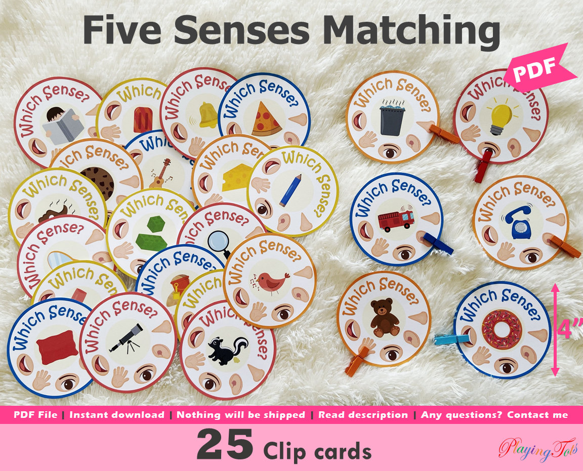 Five Senses Match and Clip Activity Printable 5 Senses - Etsy