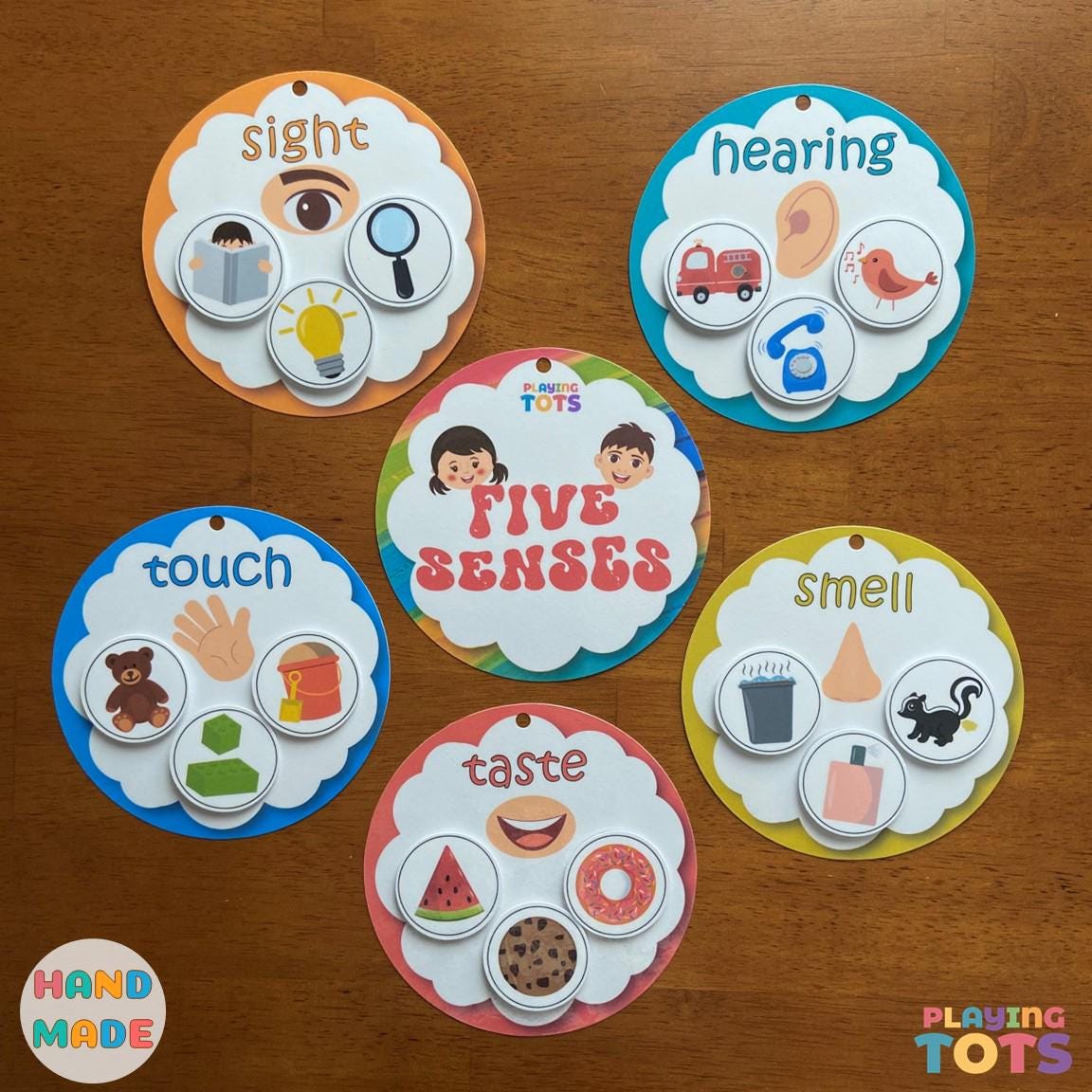 Five Senses Sorting Activity, Fully Assembled, Toddlers, Preschool, Pre ...