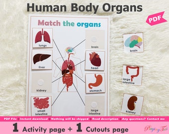 Body Organs Matching Activity Printable for Kids Human | Etsy Canada