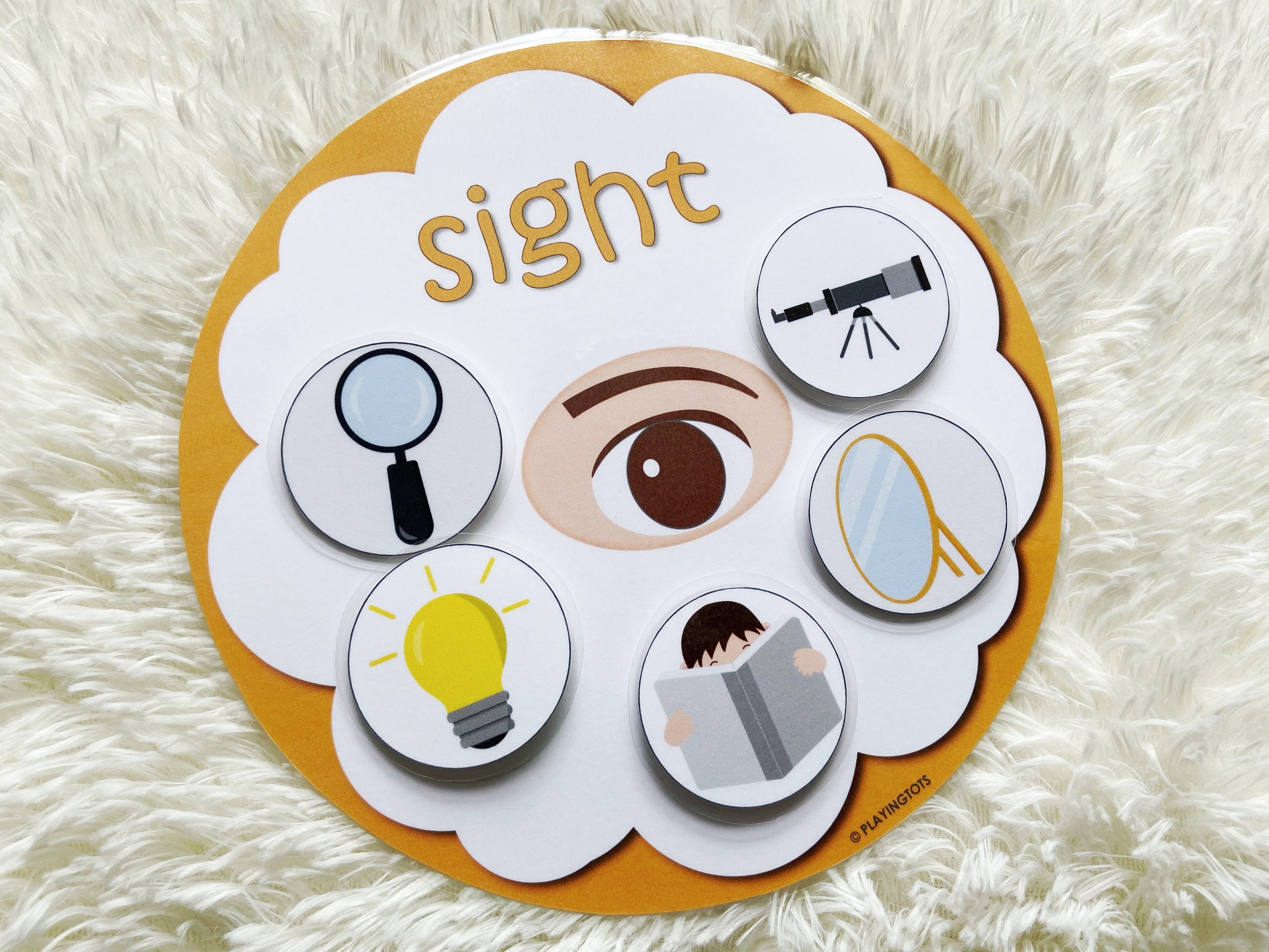 Five Senses Sorting Activity Printable 5 Senses Sorti Vrogue co five-senses-sorting-activity-printable-5-senses-sorti-vrogue-co