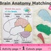 Body Parts Matching Activity Printable, Toddler Busy Book Pages ...