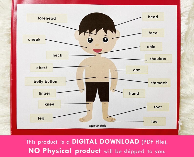 Body Parts Printable Pack for Toddlers Toddler Busy Book - Etsy