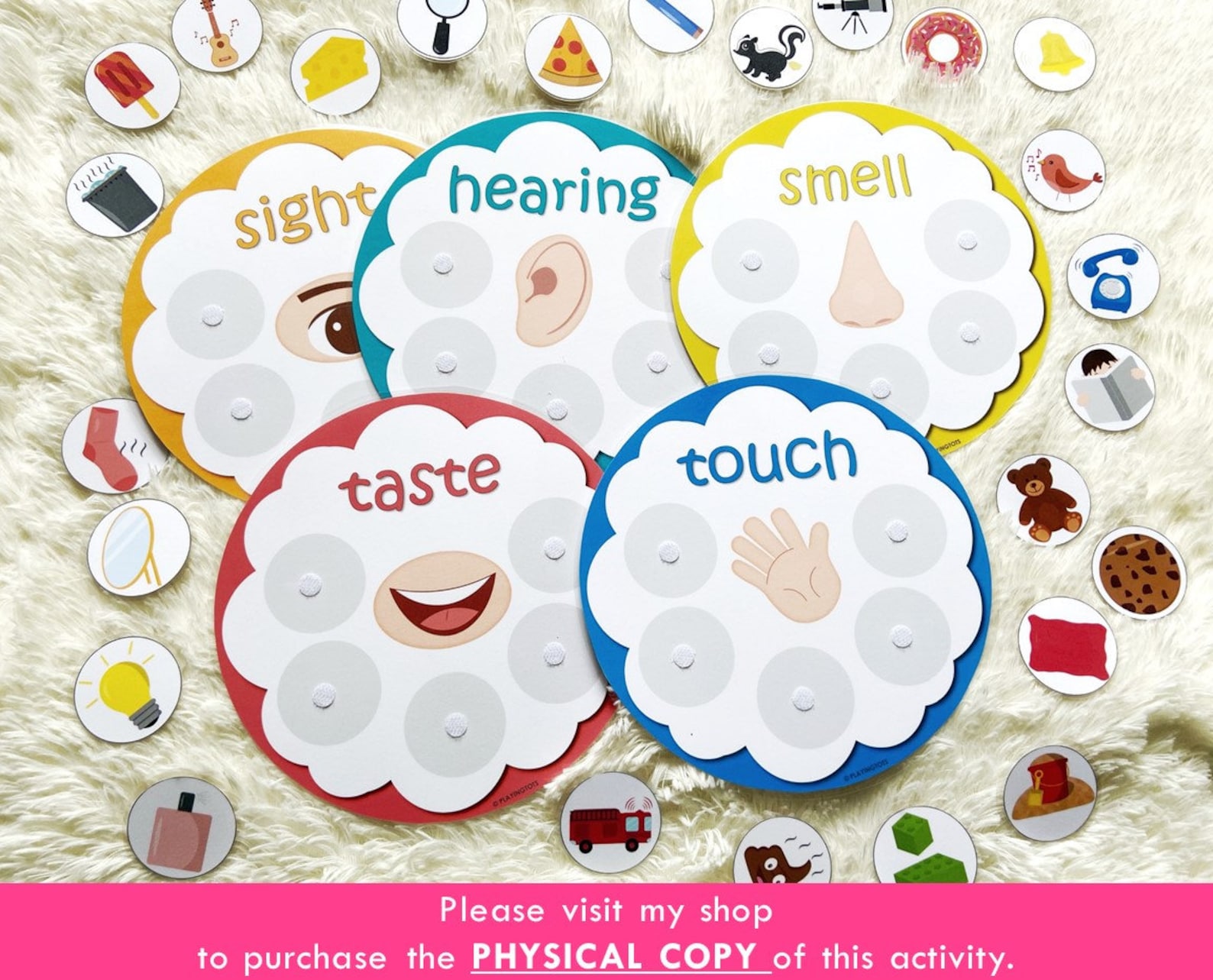 Five Senses Sorting Activity Printable, 5 Senses Sorting, Homeschool ...