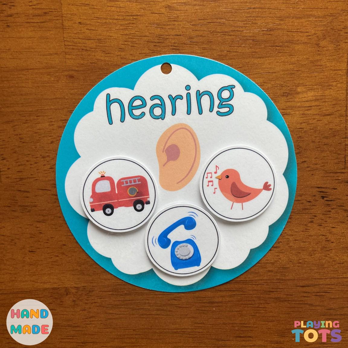 Five Senses Sorting Activity, Fully Assembled, Toddlers, Preschool, Pre ...
